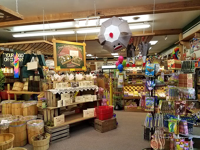 Step inside and prepare for sensory overload! This isn't just a store—it's a carefully curated museum of childhood joy with treasures hanging from every available inch.