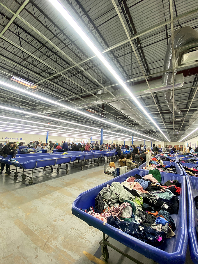 A warehouse wonderland where blue bins stretch to the horizon. This isn't shopping &ndash; it's an archaeological expedition with better lighting.