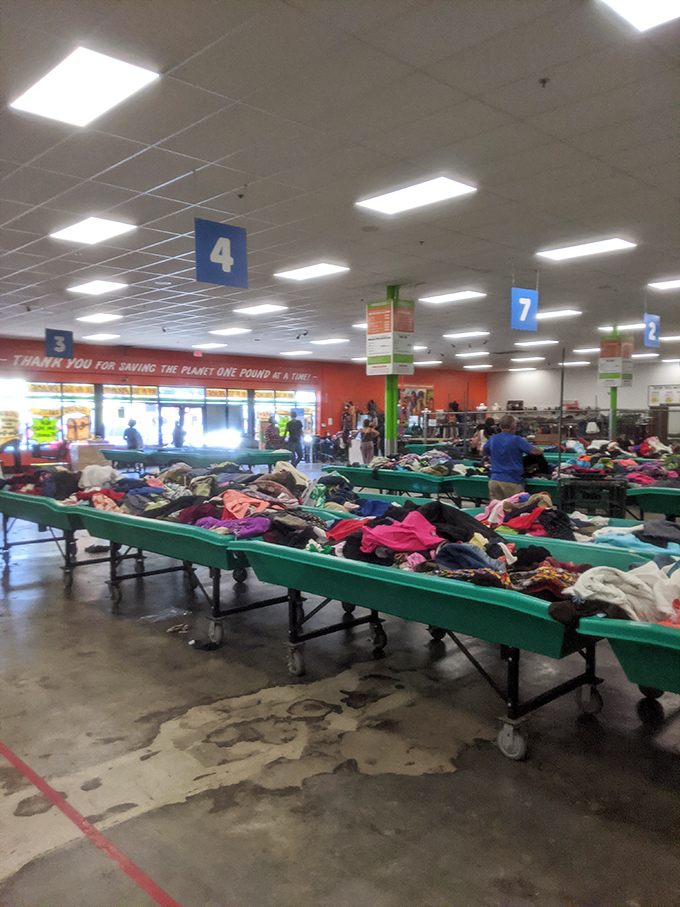 Welcome to organized chaos, where those teal bins hold more promise than a lottery ticket.