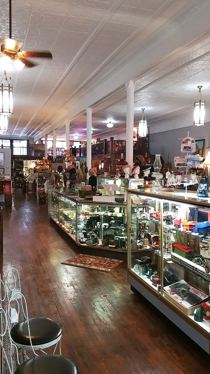 Gleaming hardwood floors and vintage display cases stretch into infinity under those gorgeous tin ceilings. Indiana Jones would get lost in here.