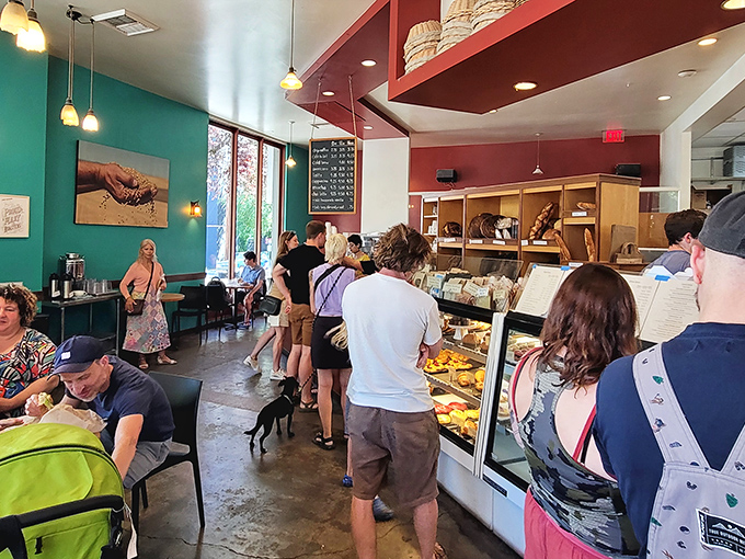 Inside, the turquoise walls and pendant lighting create the perfect backdrop for Portland's daily bread drama, where pastry-seeking pilgrims line up with religious devotion. 