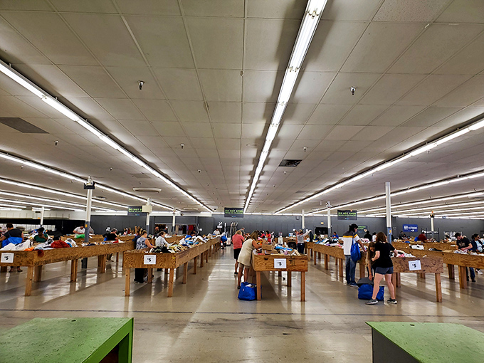 Rows of wooden bins stretch toward the horizon like a bargain hunter's yellow brick road. The serious shoppers have their game faces on!