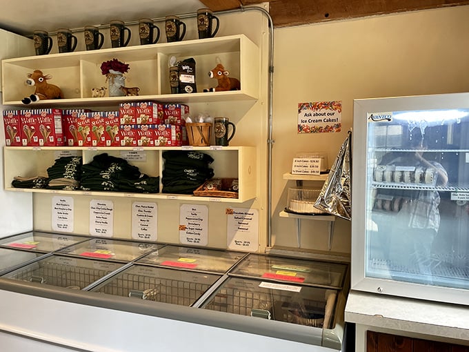 Ice cream merchandise heaven! Walls lined with cow-themed treasures and freezers full of take-home treats for when one scoop just isn't enough.