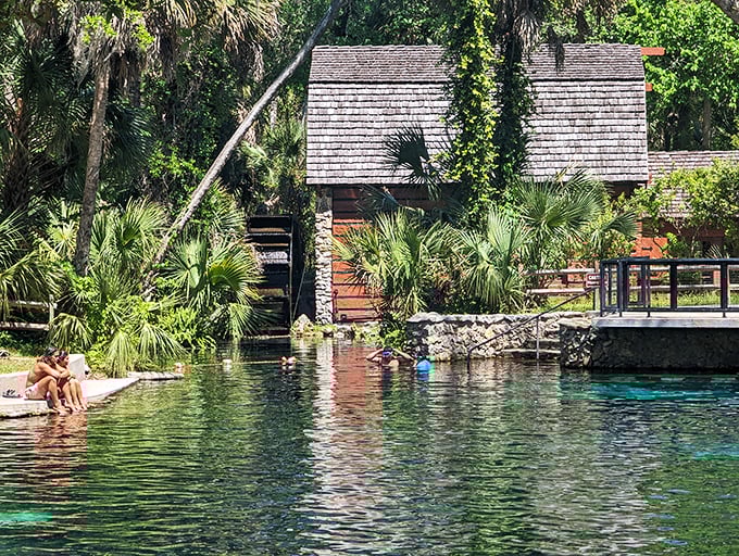 The historic mill house stands sentinel beside waters so clear you'd swear someone forgot to pour in the blue. Pure Florida magic.