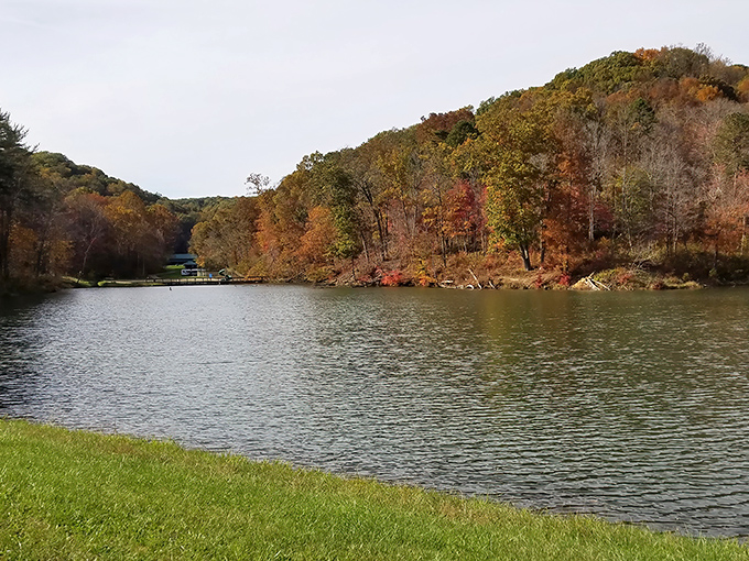 The lake's surface mirrors fall foliage like nature's own Impressionist painting. Monet would've set up his easel here for weeks.