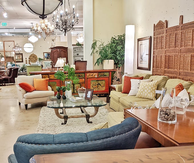 Chandeliers that whisper "take me home" hang above carefully curated vignettes, turning furniture shopping into an unexpected adventure.