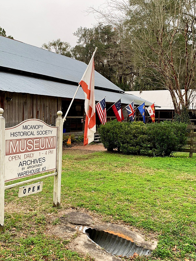 The Micanopy Historical Society Museum stands as the town's memory keeper, flying flags that tell stories of the many cultures that shaped this quirky Florida gem.