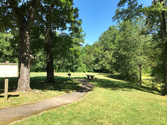 Mother Nature's living room awaits at Molly's Rock Picnic Area, where towering trees provide natural air conditioning and whispered invitations to slow down.