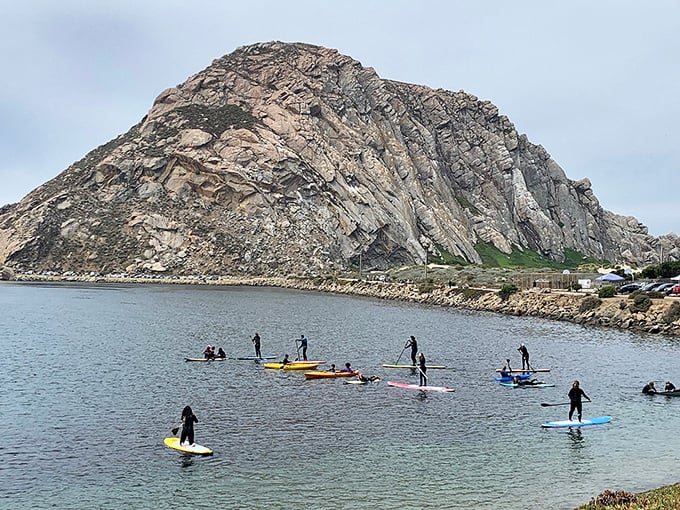 Morro Rock stands sentinel over paddleboarders enjoying the bay. Nature's playground doesn't charge admission fees, just another perk of Central Coast living.