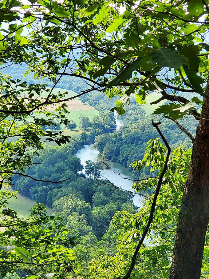 Rolling hills dressed in autumn's finest show why Virginia's countryside never goes out of style.