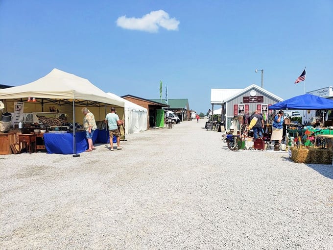 Under clear Indiana skies, vendors set up shop along gravel pathways, creating a temporary marketplace where bargains and memories are equally abundant. 