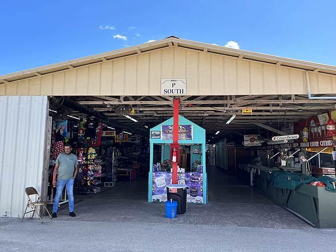The South Entrance beckons with its siren call of bargains. Like the gates to retail Narnia, what lies beyond promises adventure.