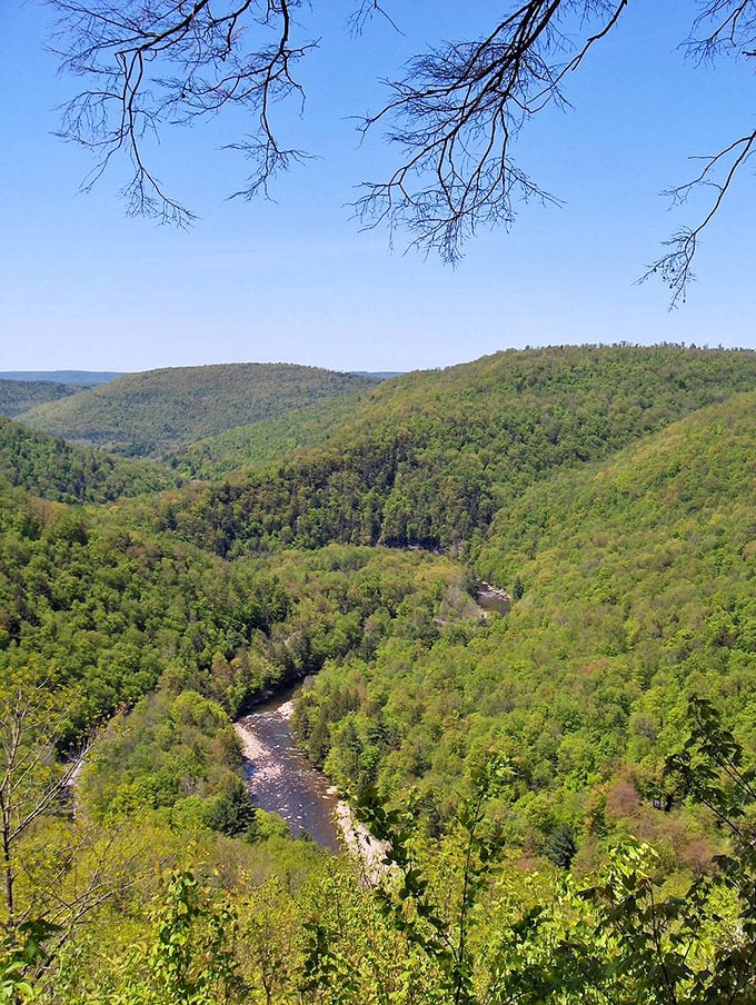 The view that launched a thousand "wow" texts. Loyalsock Creek carves its ancient path through mountains that seem to roll on forever.