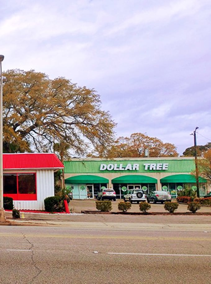 Standing proudly against South Carolina's blue skies, this Dollar Tree has become a landmark for both locals and tourists seeking affordable finds.