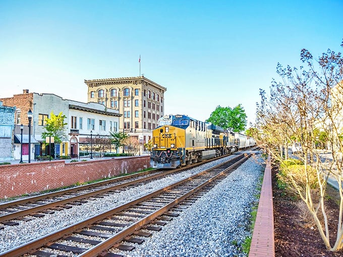 The railroad still runs through the heart of Rocky Mount, a reminder of the city's origins and its connection to the wider world.