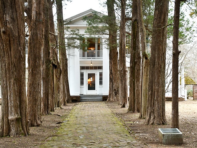 Rowan Oak's cedar-lined path beckons literary pilgrims to Faulkner's sanctuary, where genius once roamed among the whispers of history.