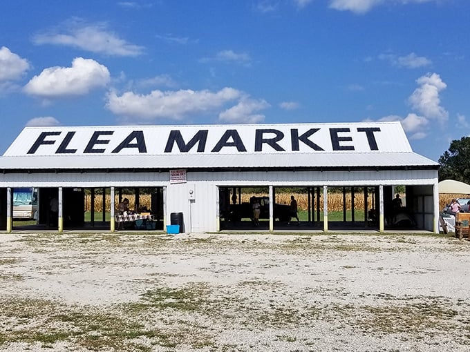 No fancy digital displays needed here&mdash;just bold letters on a metal roof announcing a wonderland of possibilities beneath.