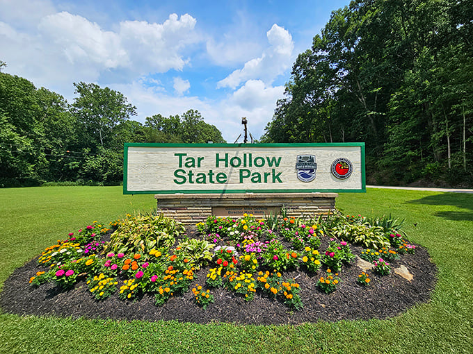 Welcome to paradise! The entrance sign's vibrant flower display is like nature rolling out the red carpet for weary city dwellers.
