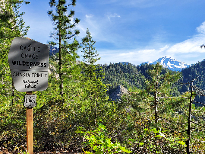 "Wilderness" isn't just a designation&mdash;it's a promise. Mount Shasta photobombs this trail marker with snow-capped majesty.