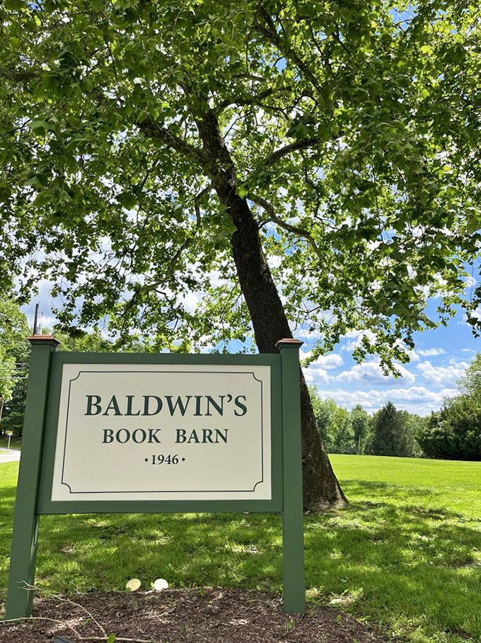 "Est. 1946" proclaims the sign, but the magic inside feels timeless&mdash;as if books have been finding their perfect readers here since the dawn of printing