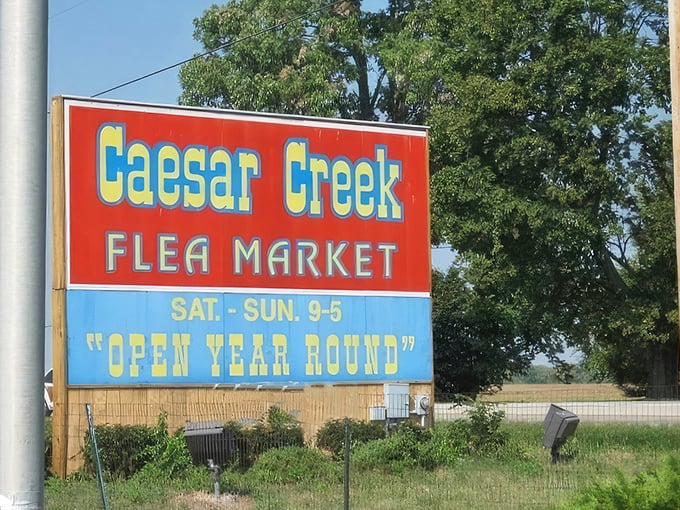 That iconic red and blue sign has beckoned bargain-seekers for generations, promising year-round adventures regardless of Ohio's weather whims.