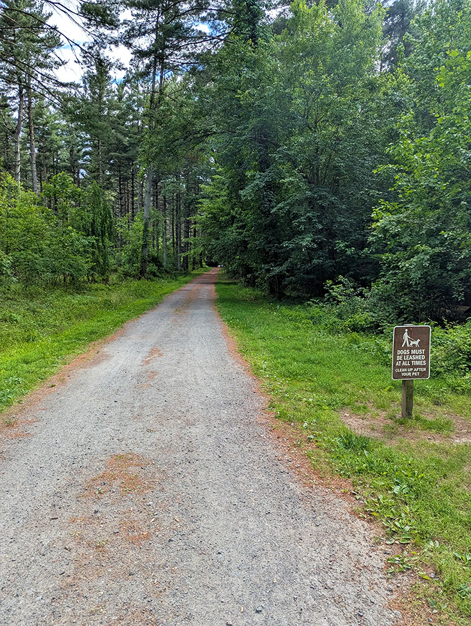 The path less traveled? Not quite, but this gravel trail promises adventures without requiring mountaineering credentials or emergency helicopter insurance.