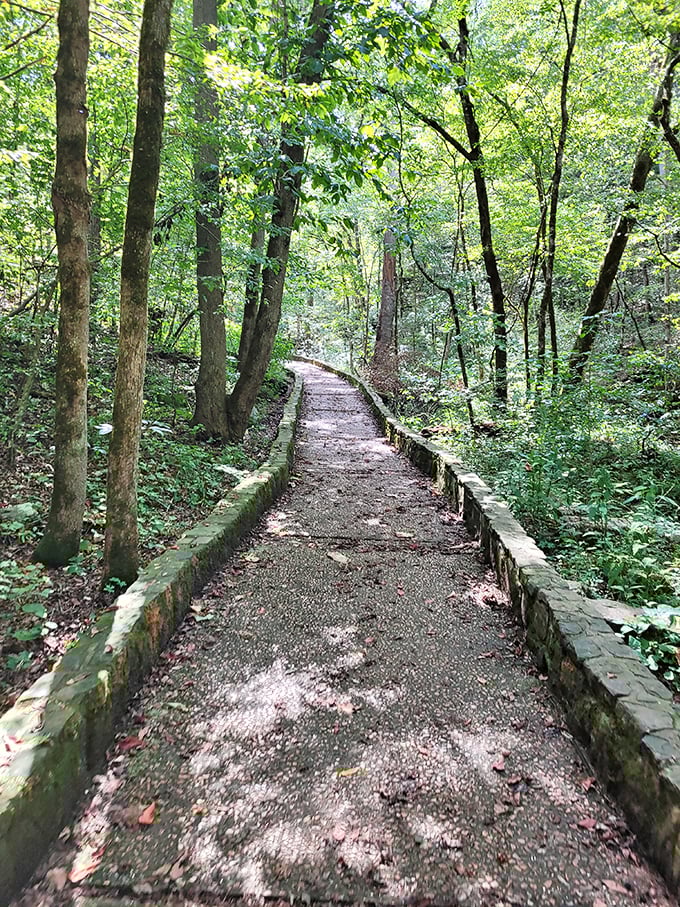 The journey begins on this unassuming forest path. Like all great adventures, what lies ahead is far more spectacular than the entrance suggests.