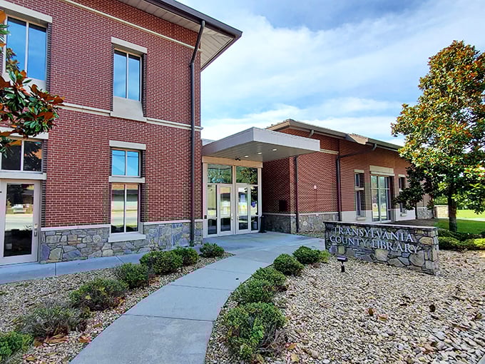 The Transylvania County Library isn't just about books – it's architectural eye candy with a side of knowledge. No vampires spotted during operating hours.