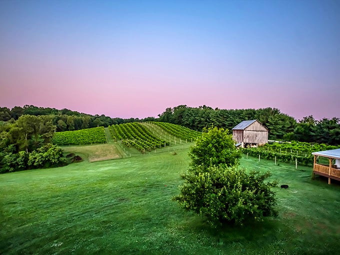 Rows of vines stretch toward the horizon under a cotton candy sky. This is what wine country dreams are made of&mdash;no passport required.