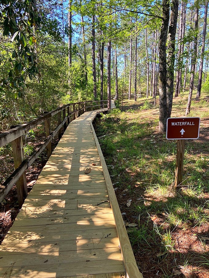 The most promising arrow sign in Florida. Follow this wooden pathway through towering pines and you'll find something most tourists don't believe exists here.