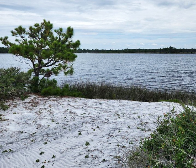 Western Lake's tranquil waters mirror the sky perfectly, creating that rare moment when you forget to check your phone for three hours straight.