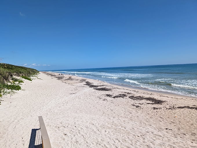 The Atlantic's persistent waves create a hypnotic rhythm against pristine shores that seem to extend infinitely in both directions.
