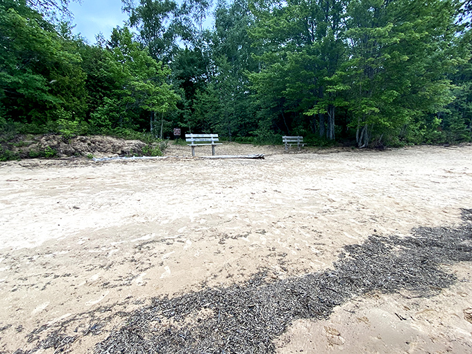 Sandy shores meet forest's edge, where simple wooden benches invite contemplation of life's big questions&mdash;or just a peaceful afternoon nap.