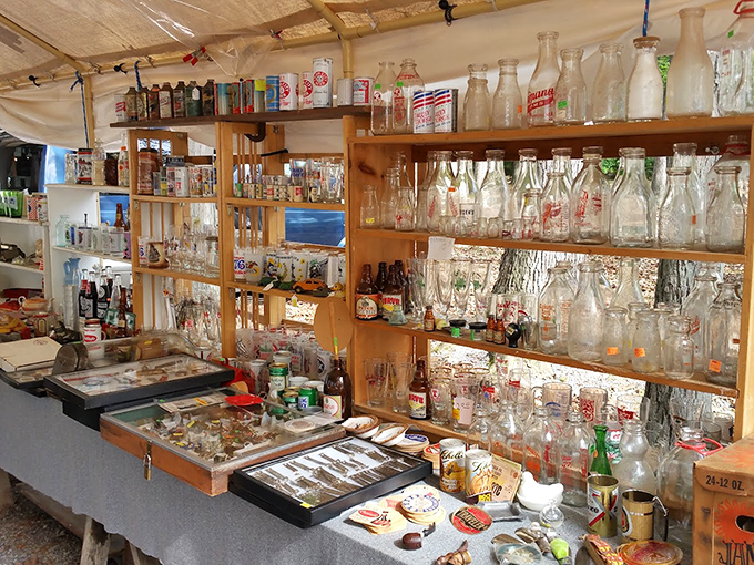 Liquid history on display! These vintage bottles once held everything from medicine to moonshine, now waiting for a second life.