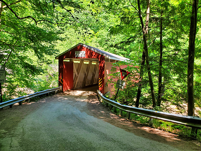 Nature's perfect frame! The vibrant red covered bridge creates a portal through time, inviting travelers into the lush green embrace beyond.