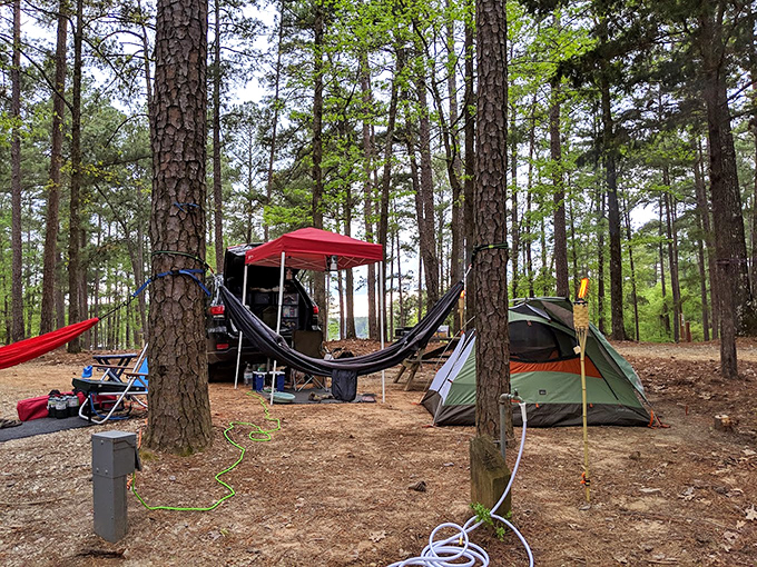 Hammock life perfected: where pine-scented breezes rock you gently between trees that have witnessed decades of happy campers seeking woodland refuge.