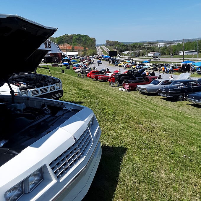 Detroit's finest gather for their second act. These classic cars aren't just vehicles; they're time machines waiting for the right caretaker to bring their stories home.