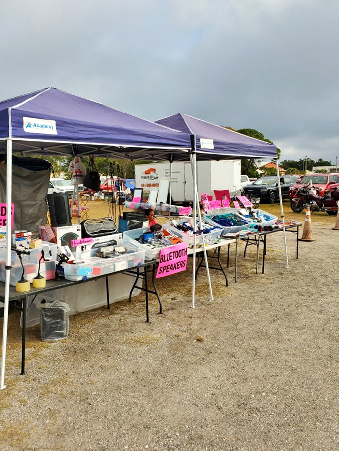 Modern technology meets bargain hunting at this electronics booth. Those neon pink signs promising Bluetooth speakers are the swap meet equivalent of sirens calling to passing shoppers.
