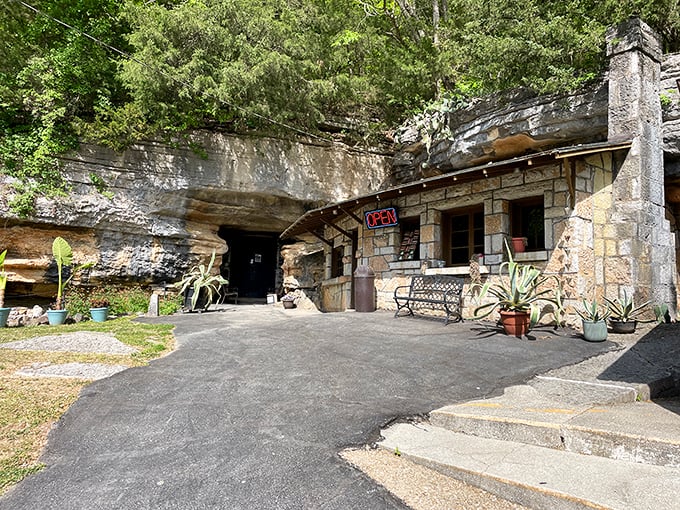 The unassuming entrance belies the wonderland within&mdash;like finding Narnia through a stone wardrobe, but with better lighting and no ice queen.