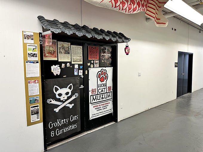 The unassuming entrance gives no hint of the feline extravaganza within &ndash; like finding Narnia behind a wardrobe, but with more whiskers.