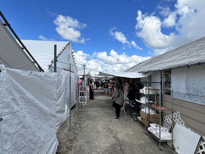 Wandering these open-air corridors feels like exploring a secret neighborhood where treasures hide behind every canvas flap and friendly haggling is the official language.