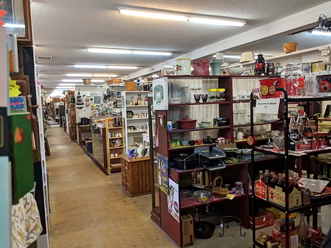 Endless aisles of organized chaos – where every turn reveals another decade's worth of memories waiting to be rediscovered and rehomed.