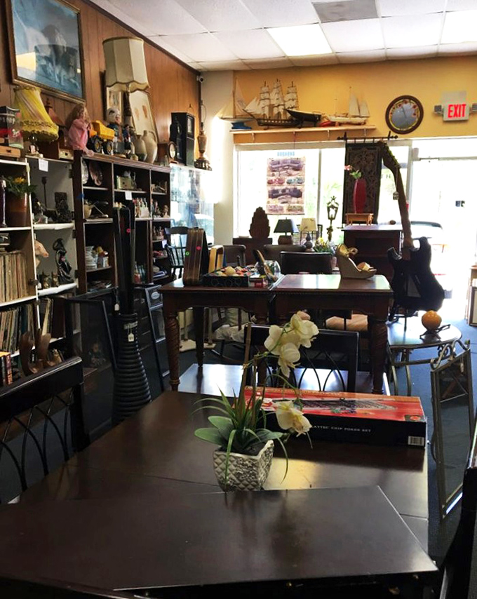 Step inside and you'll find yourself in a wonderland where every corner holds potential discoveries and forgotten treasures.