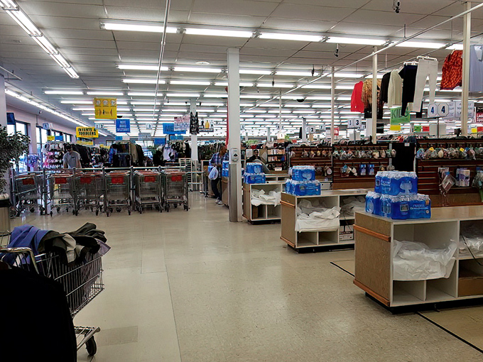 Step inside and the treasure hunt begins! Fluorescent lights illuminate aisles of possibility where one person's castoffs become another's prized possessions.