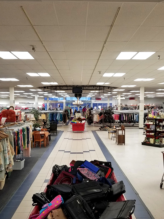 Endless aisles stretch toward retail infinity. This isn't just a store&mdash;it's an expedition where shopping carts become treasure chests.