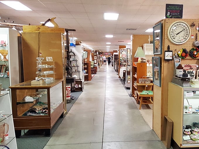 Aisles that seem to stretch into infinity, each one a portal to different decades of American life and culture.