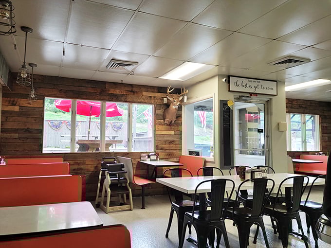 Rustic wood paneling meets classic diner comfort. That mounted deer has witnessed countless "best breakfast ever" declarations from satisfied patrons.