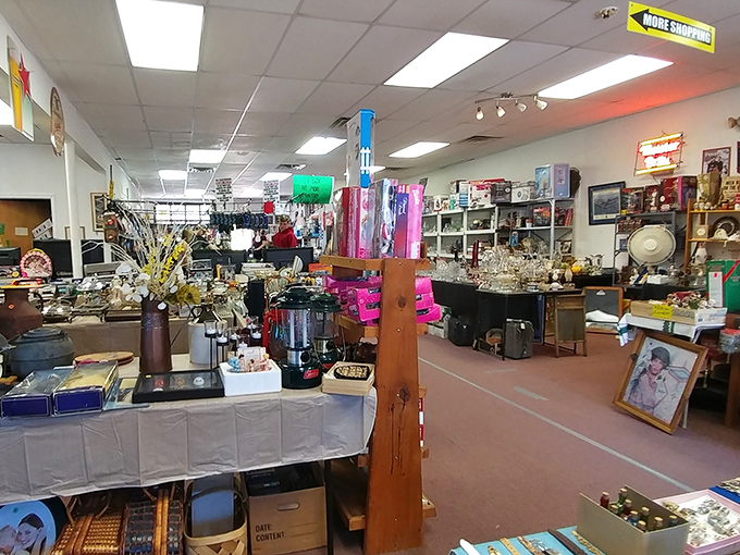 Aisles of possibility stretch before you, where one person's forgotten kitchen appliance becomes another's culinary salvation.