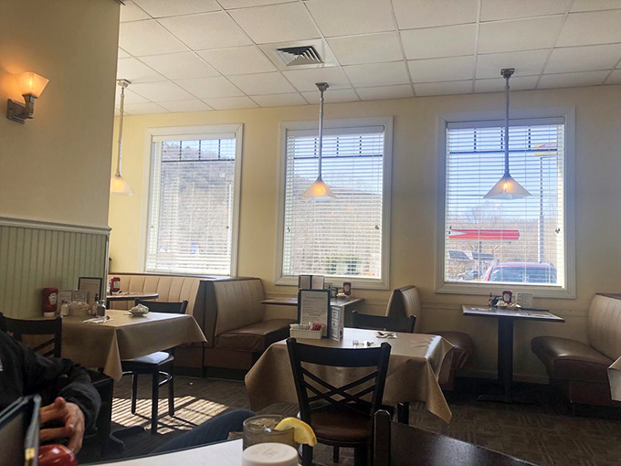 Cozy booths bathed in natural light create that perfect "I could stay here all day" atmosphere. The kind of place where coffee refills appear magically.