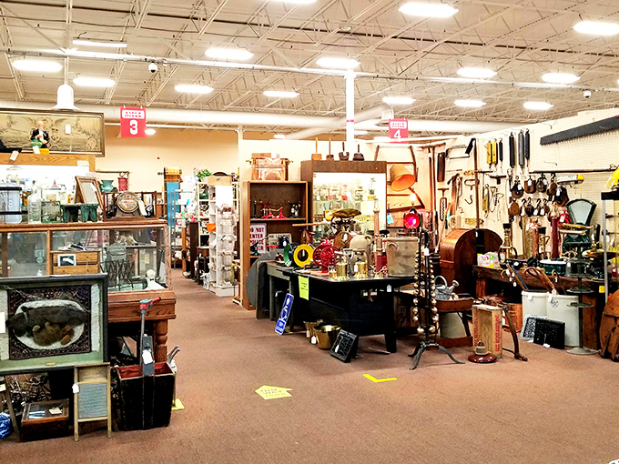 Aisles that seem to stretch into infinity, each one a rabbit hole of discovery waiting to be explored.